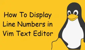 How To Display Line Numbers in Vim Text Editor - OSETC TECH