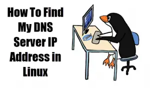 How to Find My DNS Server IP ADDRESS in Linux - OSETC TECH