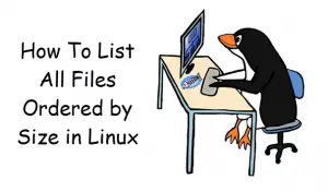 How To List All Files Ordered by Size in Linux - OSETC TECH
