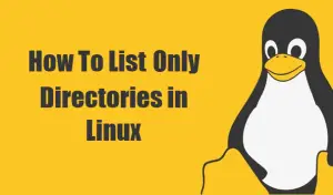 How To List Only Directories in Linux - OSETC TECH