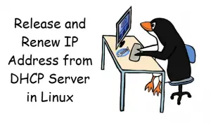 How to Release and Renew IP Address from DHCP Server in Linux - OSETC TECH