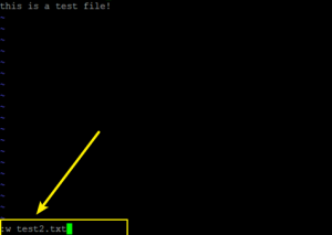 How To Save As a New File in Vi/Vi Text Editor - OSETC TECH