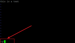 How To Save a File Using Vi/Vim Text Editor in Apple Mac OS - OSETC TECH